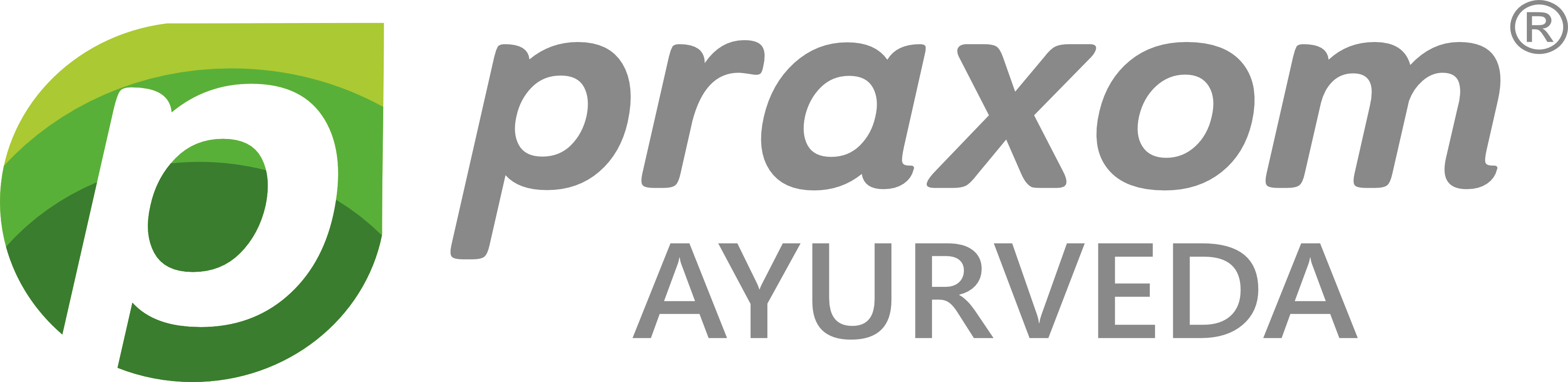 Ayurveda Osteoarthritis